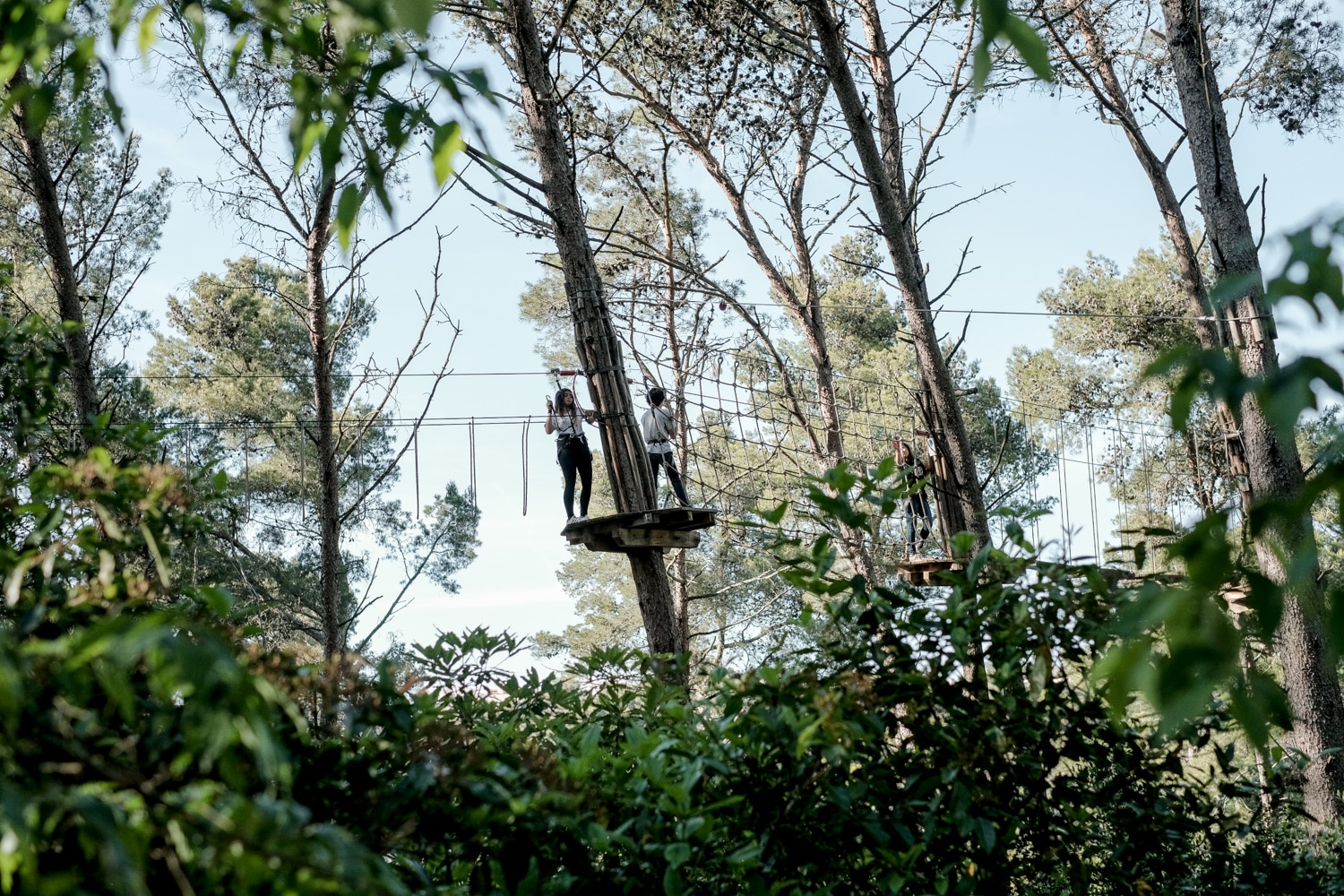 Exploring Nature and Team Spirit: The Adventure of Family and Group ...